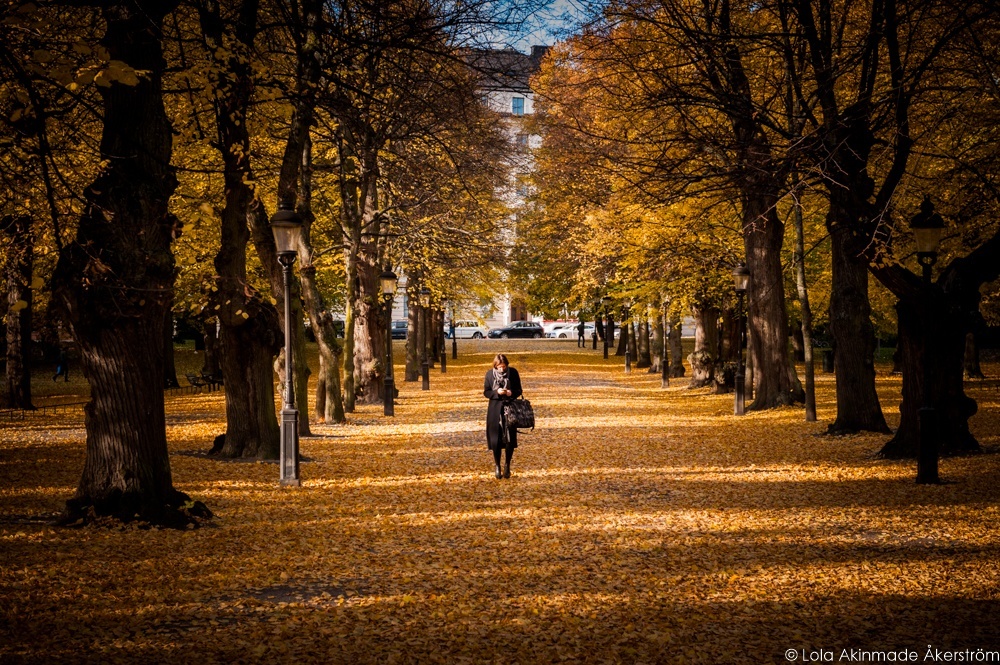 Photos: Autumn in Stockholm 2015 - Slow Travel Stockholm
